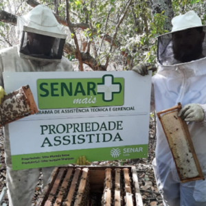 Propriedades assistidas pelo senar goiás estão recebendo nova ...