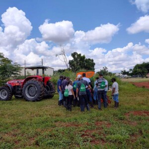 Senar goiás oferece 100 mil vagas de cursos gratuitos e ...