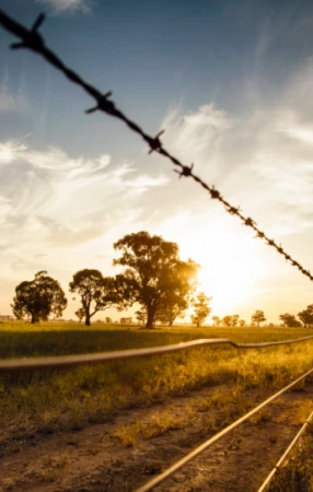 Ead senar-go | Sistema Faeg Senar