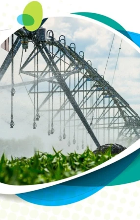 Ead senar-go | Sistema Faeg Senar