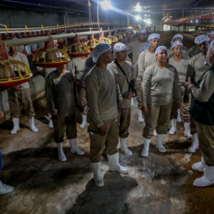 Senar goiás oferece curso pioneiro para formar novos granjeiros e ...