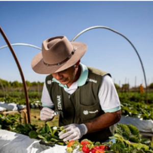 Senar goiás oferece mais de 400 cursos presenciais neste mês de janeiro ...